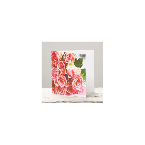 Pink Rose Greetings Card